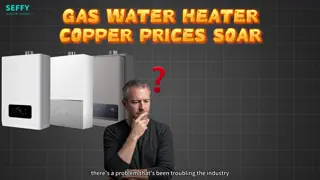 Cost-Effective Stainless Steel Heat Exchanger Gas Water Heater