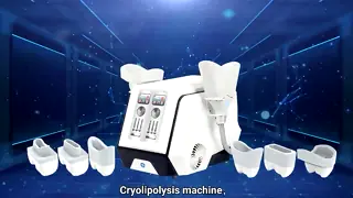Professional Cryolipolysis Machine for Body Contouring