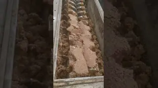 Efficient Hollow Paddle Dryer for Industrial Sludge Drying
