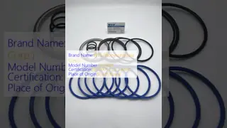 Doosan Swing Motor Seal Kit 2401 6250K Repair Solution
