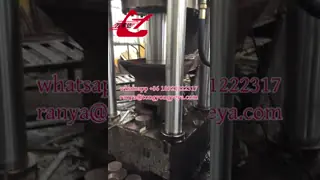 Briquetting press