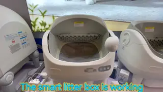 Spray-type Smart Cat Litter Box