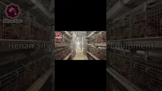 Double Poultry Farm Capacity with H Type Battery Cages