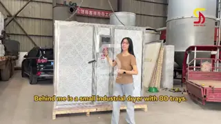 80-tray industrial drying oven
