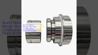 TB2P 40 Double Mechanical Seal for Sulzer AHLSTAR Pumps