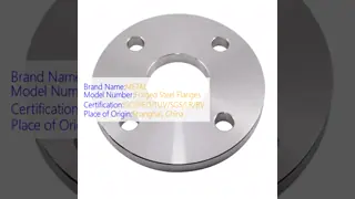 High Pressure Forged Steel Flanges ASME Certified