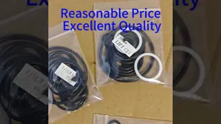 Seal Kit-Control Valve 04676-31890-71
