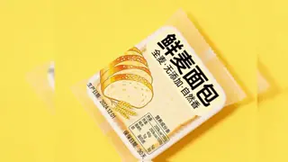 Food Packaging Bags