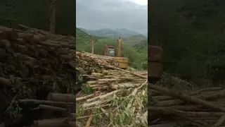 Wooden clamp