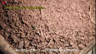 Chicken manure puffing machine used in organic fertilizer production.