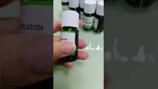 Water Energy Fragrance Oil for Premium Perfume Making
