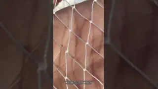 Agriculture products: Bird net, insect net, Garden net