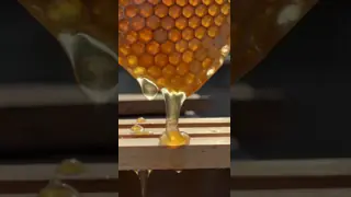 Why does your honey have bubbles? ????