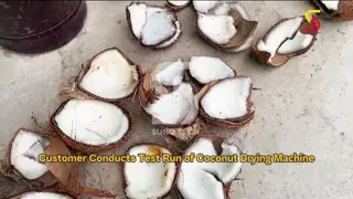Drying coconuts in a drying oven
