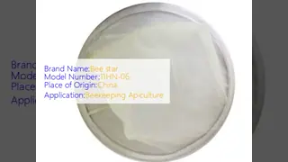 Conical Honey Strainer Best Beekeeping Filter Tool