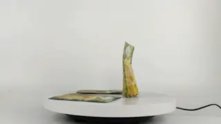 Custom Mylar Bags for Premium Food Packaging