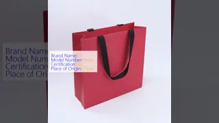 Premium Pastel Gold Gift Bags Elegant Packaging Solution