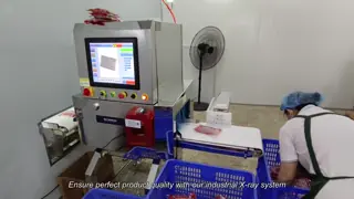 Industrial Food X Ray Inspection Machine for Quality Control