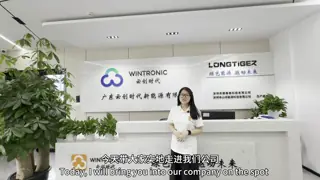 Longtiger Reliable Lithium Battery Solutions for Cycling