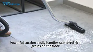 KW70 Professional Wet and Dry Vacuum Cleaner