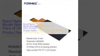 High Resolution FWVGA IPS Display Module for Electronics