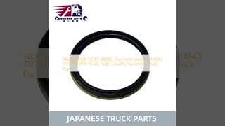 HINO 700 Trunnion Seal SZ311 00001 High Quality Parts