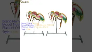 Bee Anatomy Model 60cm and 110cm Beekeeping Tools