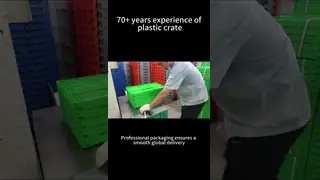 Mesh Foldable Plastic Crate Packaging for USA Customer Space-Saving Reusable Logistics Solution