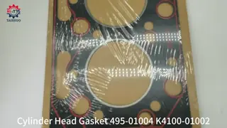 Cylinder Head Gasket 495 495ZC