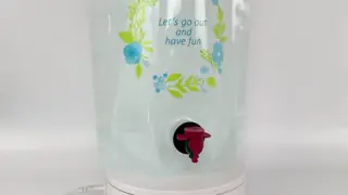 Custom Vitop Valve Beverage Bags for Fresh Packaging