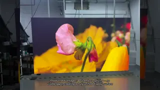 COB MicroLED Display – Flip‑Chip Common Cathode Ultra‑Fine Panel