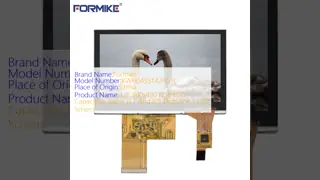 High Resolution IPS Touch Display Module