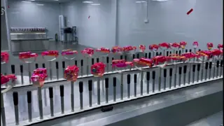 Automated Toy Car Coating System Precision Spraying