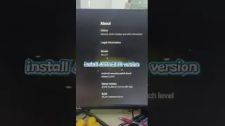 Factory Wholesale 4K Android TV Stick Pre-installed with Ibo PRO Streaming Player