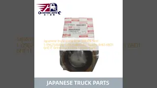 Isuzu Rear Diff Oil Seal 1096254840 Premium Truck Parts