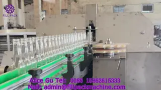 2315 U4 Polish In-Line Glass Bottle Label Removal and Washing Machine