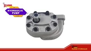 Hydraulic Gear Pump 120114C91 Product Showcase