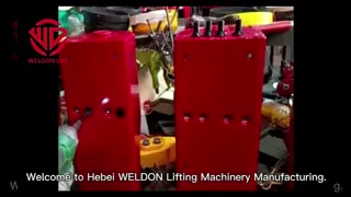 PA mini electric hoist