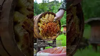 Pure Natural Bush Forest Honey 100 Percent Raw and Organic