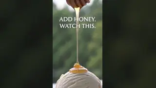 The Easiest Honey Upgrade ????