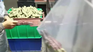 Automated Plastic Toy Painting Machine for Toy Factories