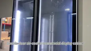 Commercial Glass Door Beverage Cooler for Brand Promotion