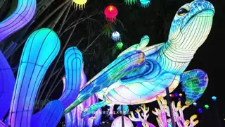 Vivid giant sea turtle festival lantern for ocean themed light shows Ideal for theme parks scenic sp