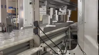 Fully Automatic Gantry Palletizer for Efficient Packaging