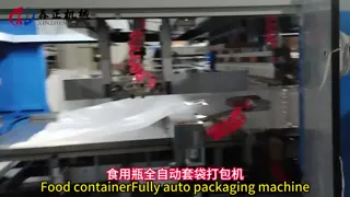 Automatic Packaging Machine for Food Bottles