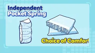 Sofa Independent Pocket Spring Unit — Product Introduction