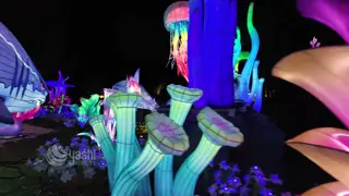 Immersive Under Sea Lantern Display For Theme Park Events
