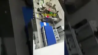 Crayfish Apron Automatic Production Packaging 2 in 1 Machine