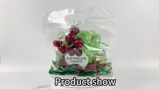 Custom Stand Up Pouch Resealable Doypack Ziplock Plastic Fresh Fruit Packaging