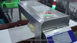 Automatic Food Grade Metal Detector for Pineapple Production Lines